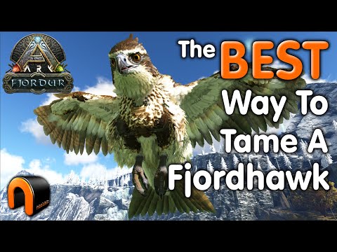 Steam Community :: Video :: ARK How To TAME A FJORDHAWK On FJORDUR For ...