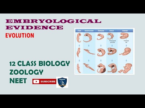 Embryological Evidence I Evolution I Zoology | Class 12 | TNSCERT/CBSE | NEET