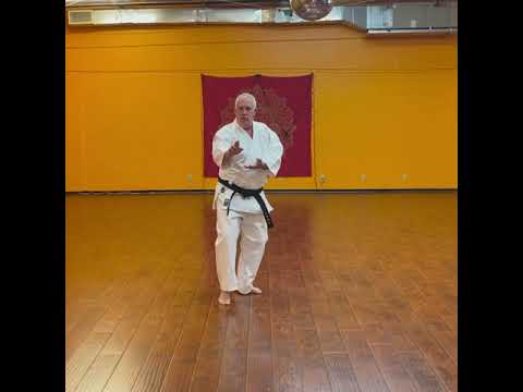 Isshin-ryu Karate: In-Line Stance Drill – Gilbert's Isshin-ryu Karate ...