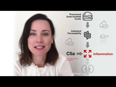 A/Prof Melinda Coughlan explains how processed food triggers inflammation