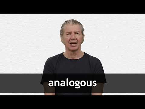 ANALOGOUS definition in American English | Collins English Dictionary