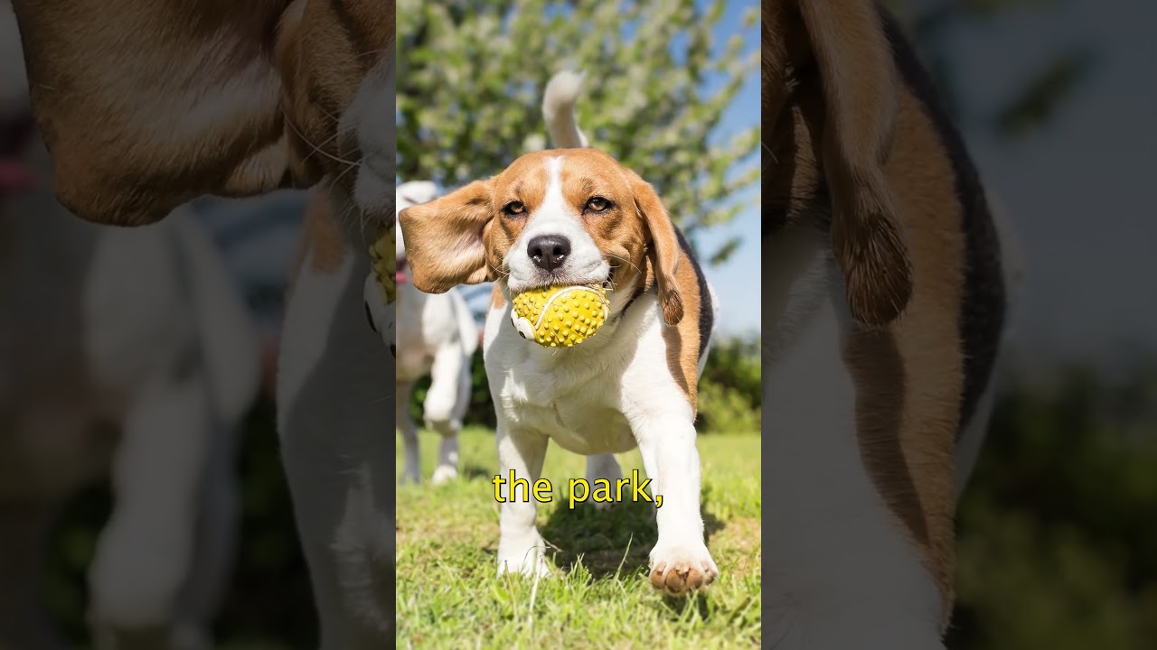 Work with your technology providers as early as possible...