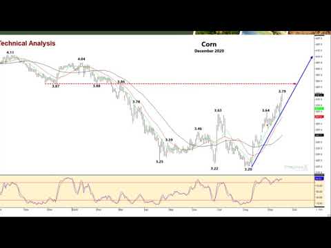 December Corn Chart | Heartland Farm Partners