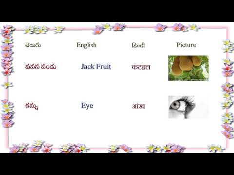 Teta Telugu - Three in one Words in Telugu, English, Hindi