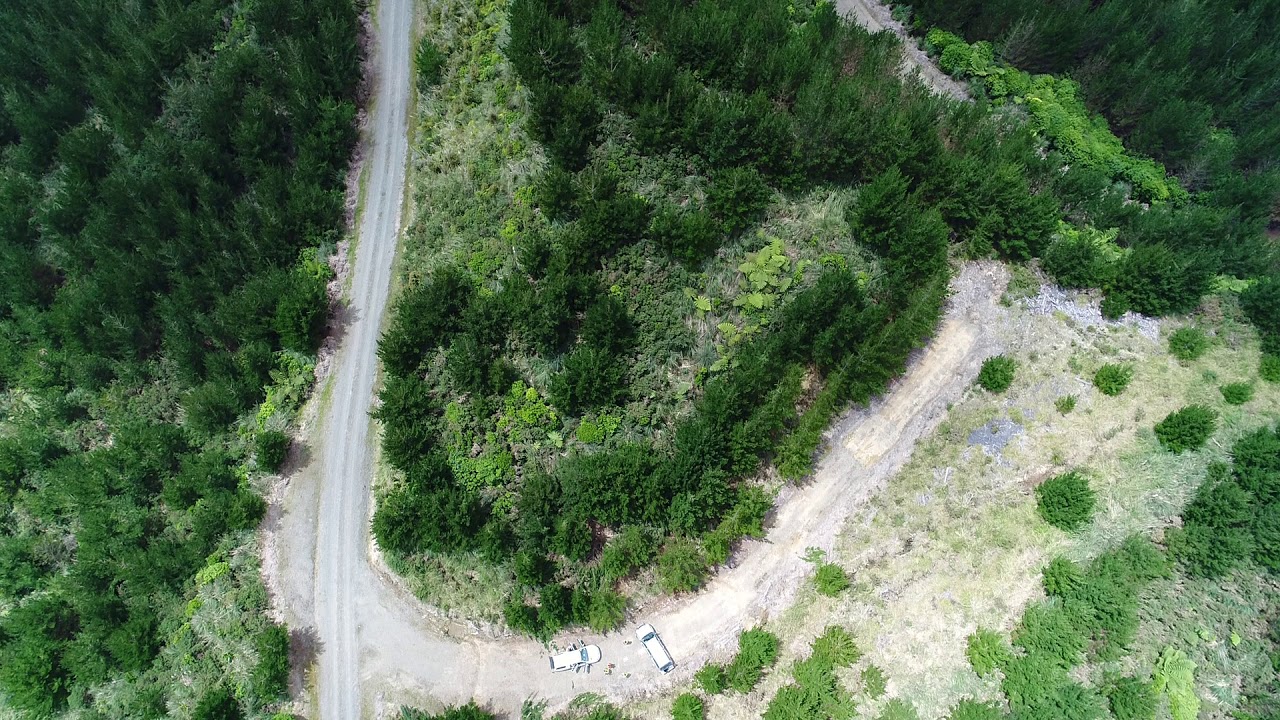 UAV Forest  Inspections