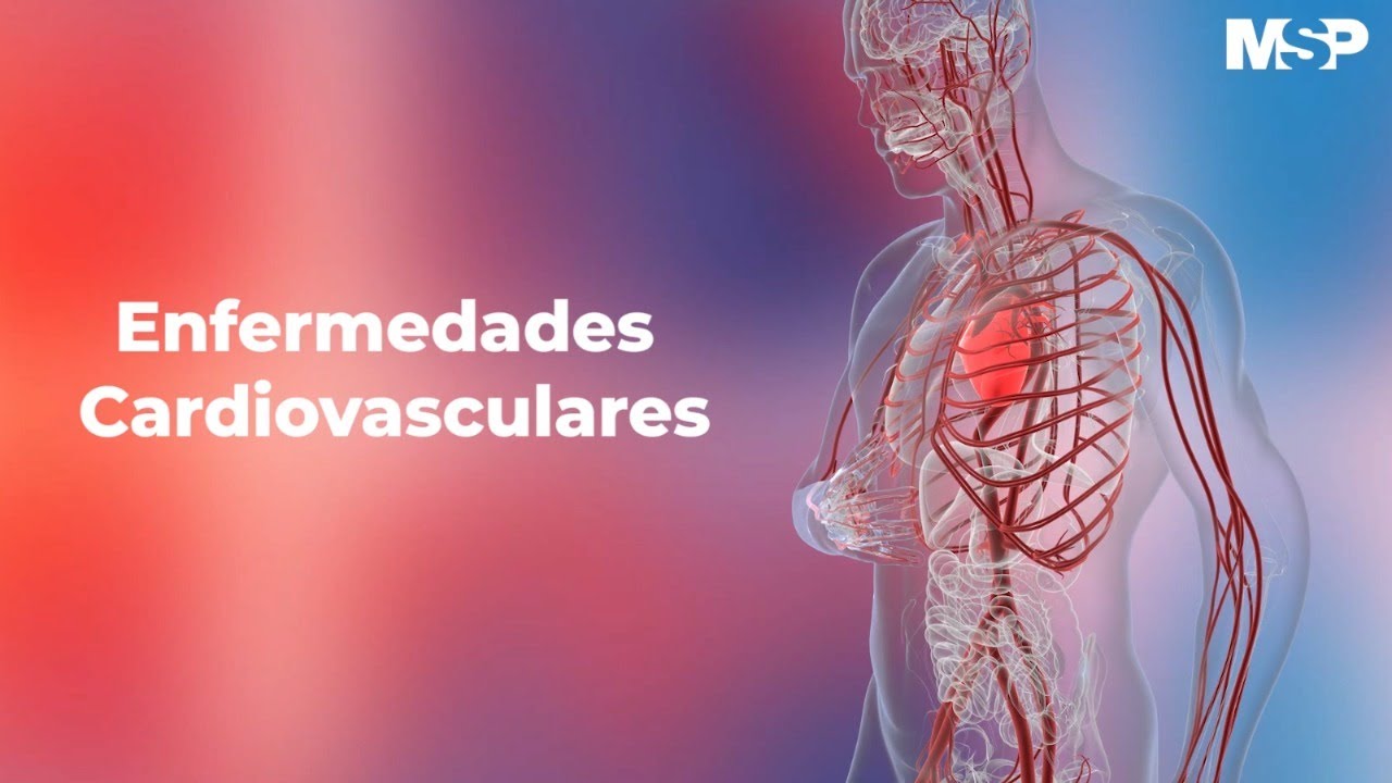 Cardiovascular diseases