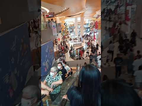 window shopping