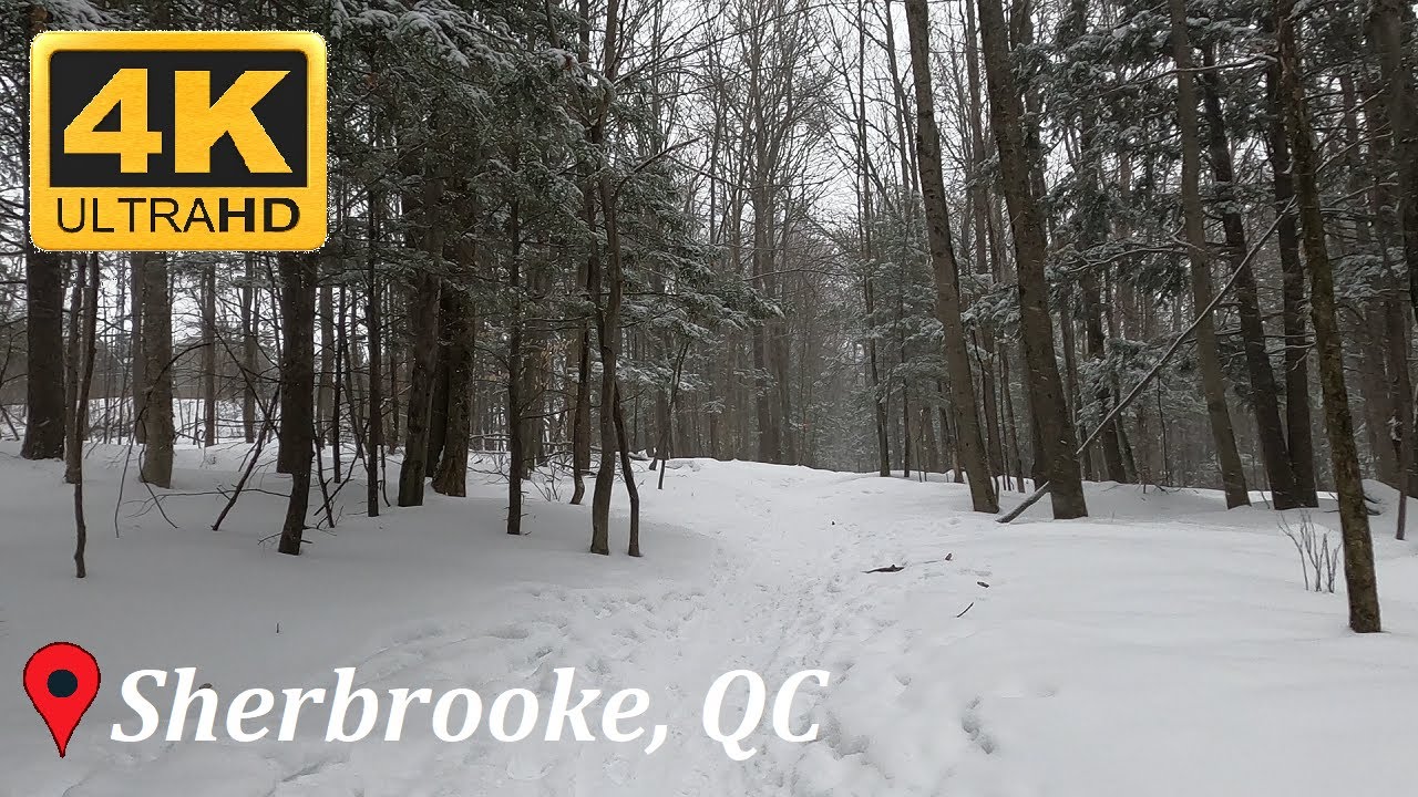 Marais Réal-D.-Carbonneau Trail Review (Winter) | Sherbrooke