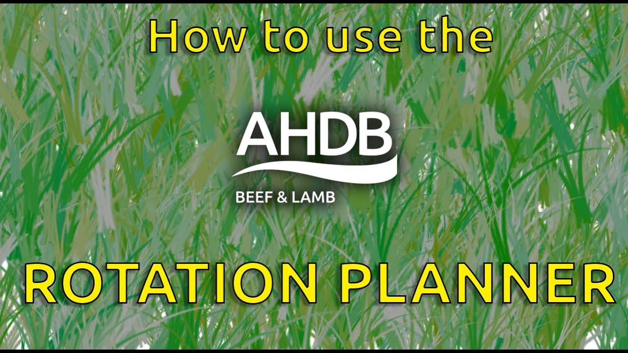 How to use a rotation planner