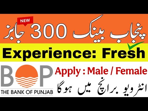 _Bank of Punjab Jobs 2025 | How to Apply Online | Step-by-Step Guide_