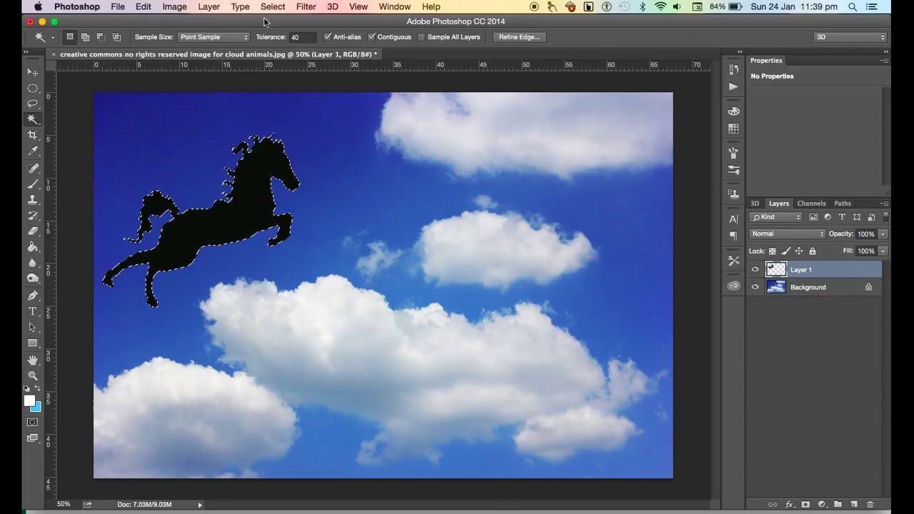 Vector Cloud Animal in 60 Seconds (Silent)
