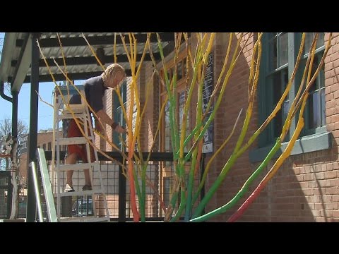 Salida's undercover artist turns dead trees into a canvas