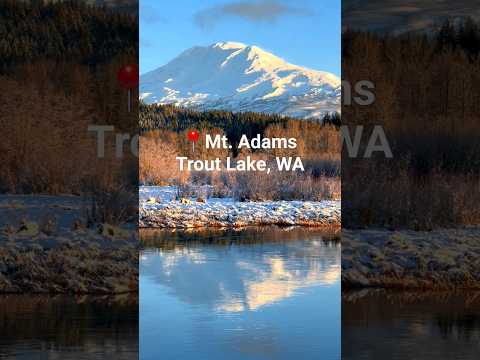 Mt. Adams in winter #TroutLake