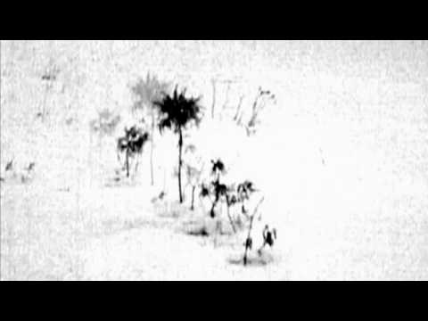 coriaplex – in silent light – neil/joseph/polson