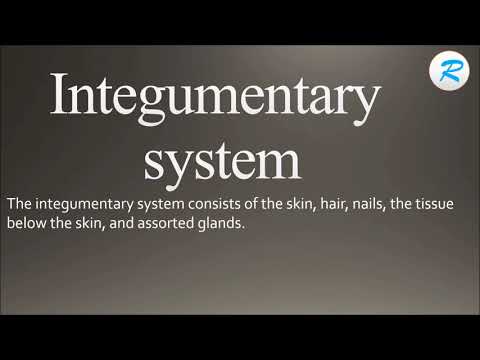 How to pronounce Integumentary system