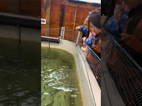 Fish Hatchery Tour!