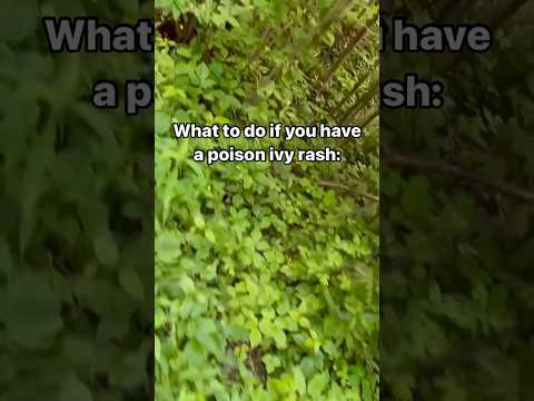 Home remedies for poison ivy.
