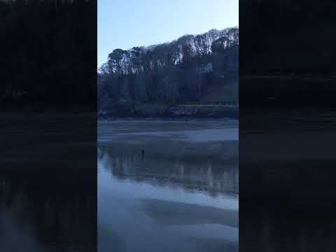 View of North Sands, Salcombe, Devon