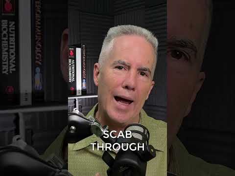What Is A Scab?