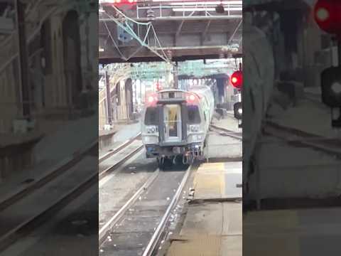 #amtrak #railfanningamerica #northeastcorridor #corridorclipper #rare #railroad #virlshort #trains