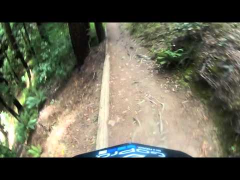 DropZone Productions: Tenderfoot