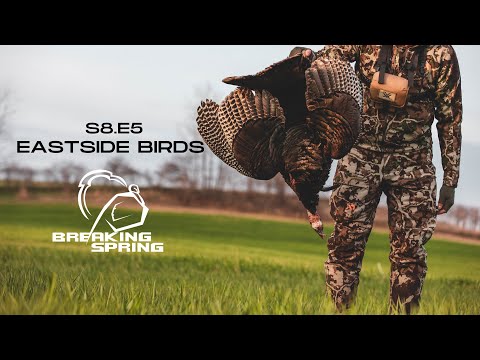 Wisconsin Turkey Season