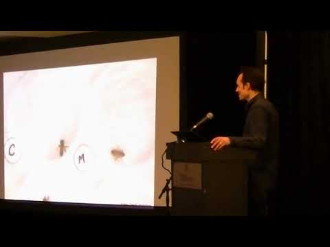 Heightened Sensitivity in High Grooming Honey Bees (Apis mellifera)