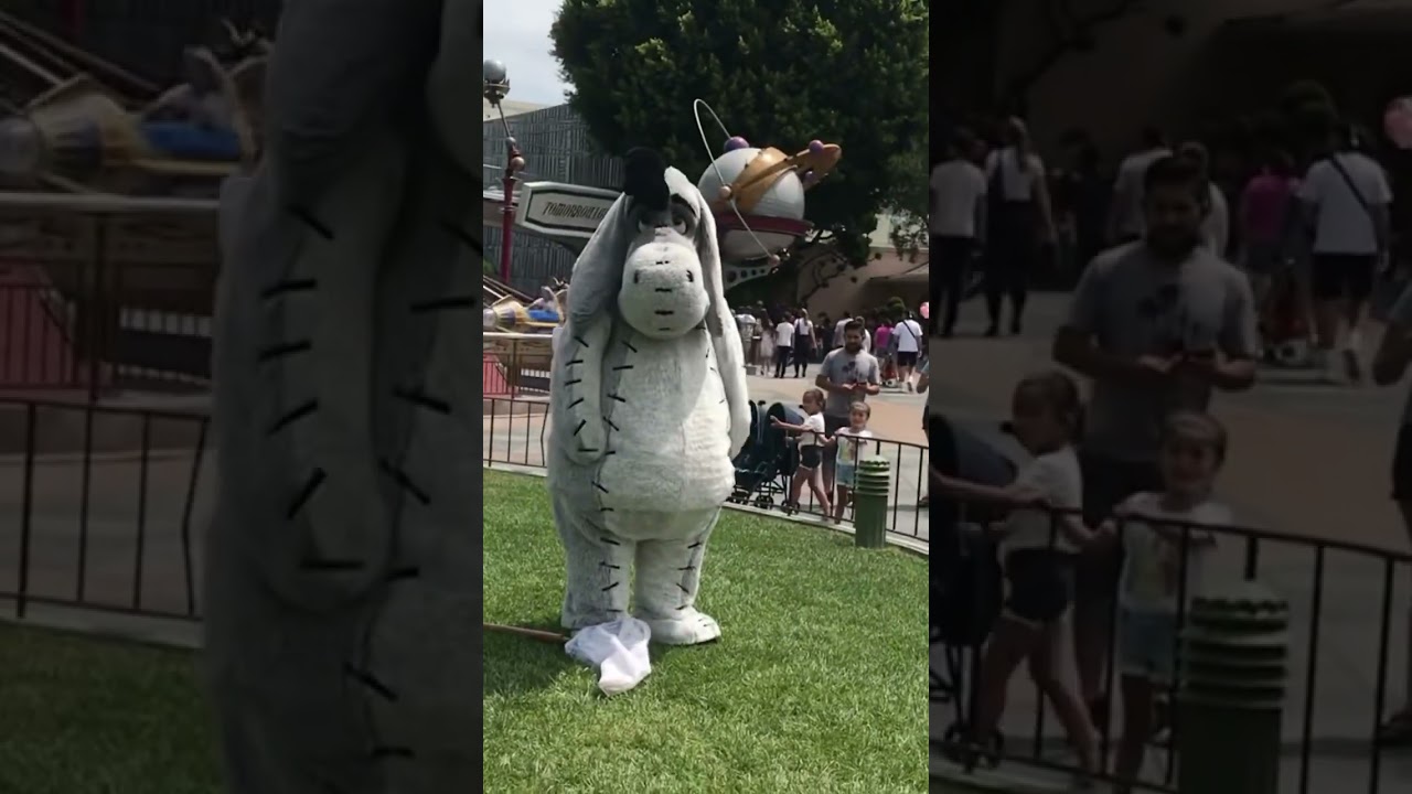 Giving Eeyore an air hug!