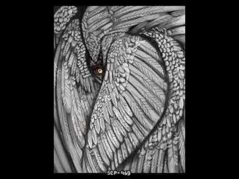 SCP 469 "Angel With Many Wings"