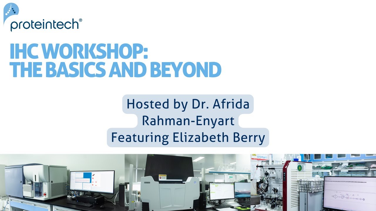 IHC Workshop: The Basics and Beyond