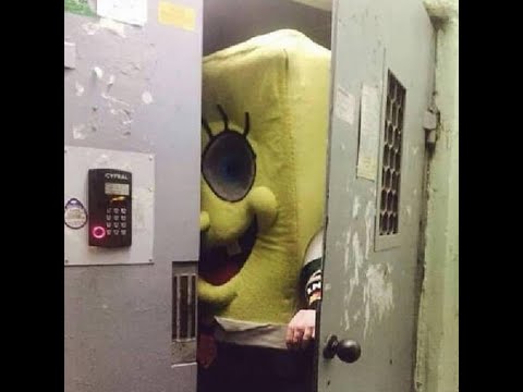 SCP 4739-XK | Wiki | SCP Amino Español Amino