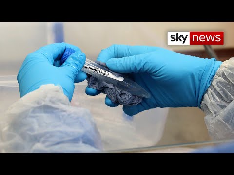 COVID-19: UK testing company broke health and safety laws at height of pandemic