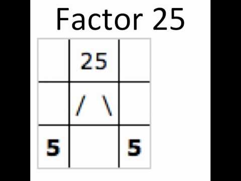 Factor A 25