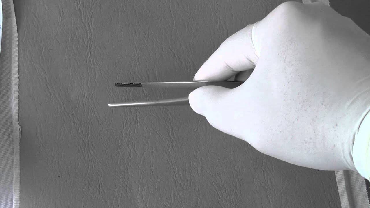 Pinza de Disección