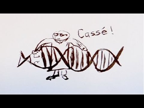 Mucoviscidose et génétique