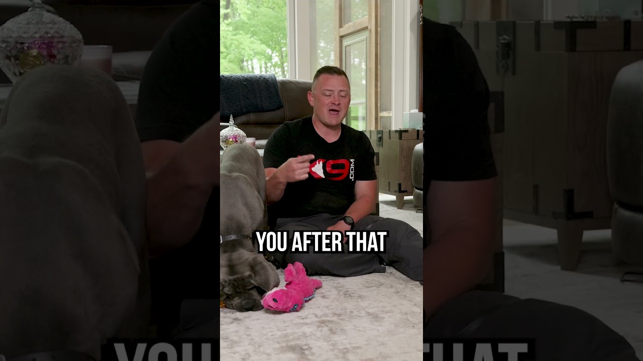 How To Stop Puppy Biting