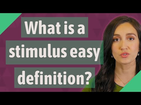 What is a stimulus easy definition?