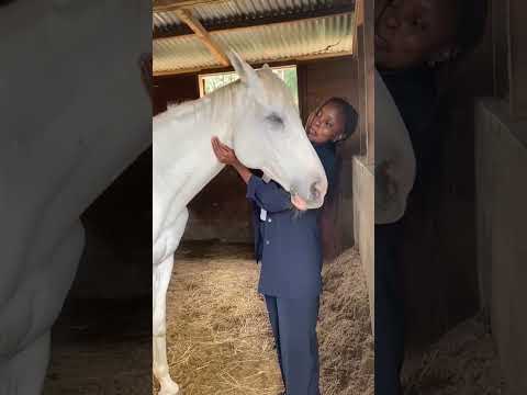 1st time seeing a white 🐴 #foryoushortvideo #whitehorses #kenyan