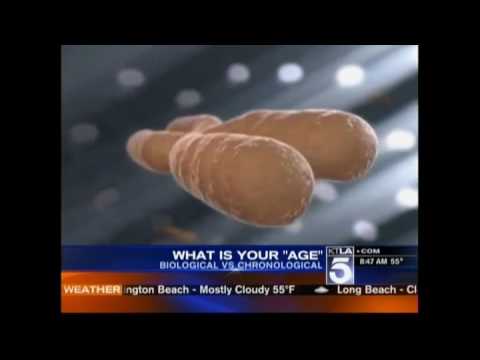 Chronological Age vs. Biological Age. Dr. Berger KTLA News