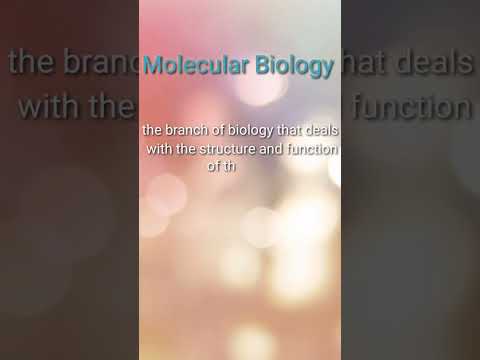 Molecular Biology