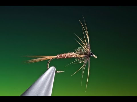 Cruncher wet fly