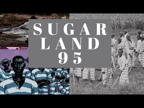 Fort Bend County and The Sugar Land 95
