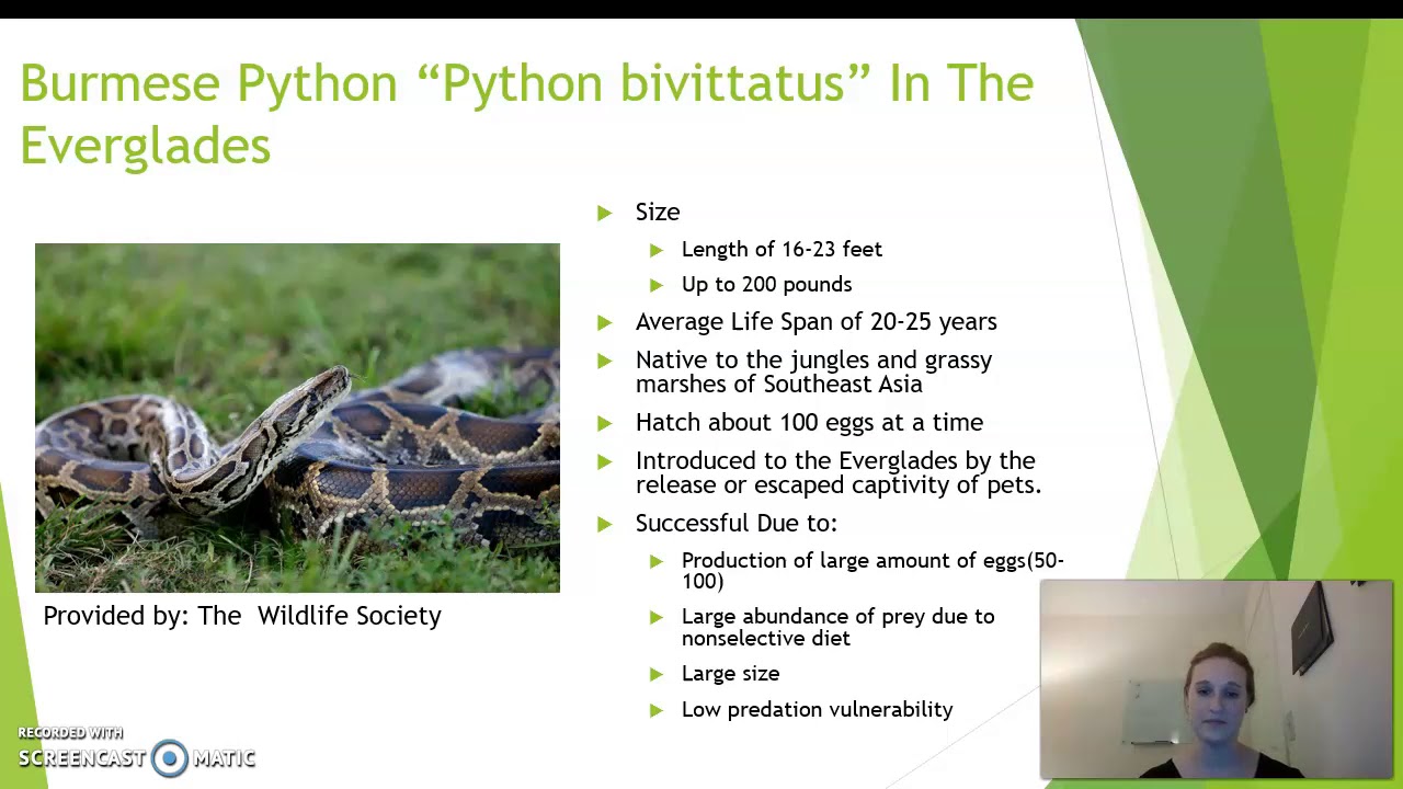 Invasive Species powerpoint presentation