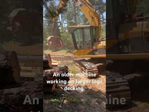 Cat 320c at work. @oregonforests @AssociatedORLoggers @WesternStatesCat