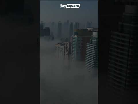 UAE Red Alert: Thick Fog Engulfs Major Cities | Motorists Warned! 🚨 | 24 feb 2024 #shorts