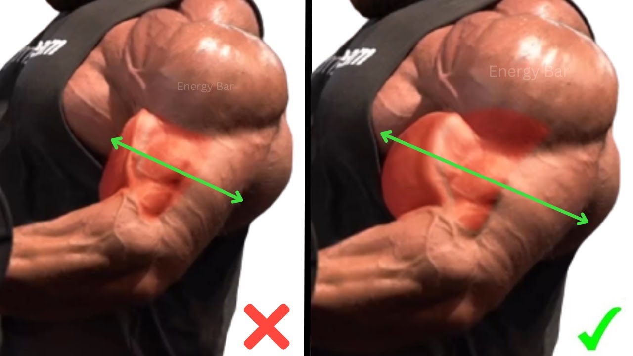 8 BEST EXERCISES THAT WILL MAKE YOUR BICEP HUGE | WIDER BICEPS WORKOUT