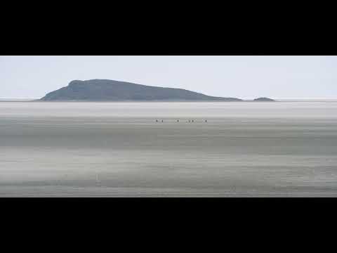 Entre la Sal y el Cielo ( Between Salt and Sky ) - TRAILER 02