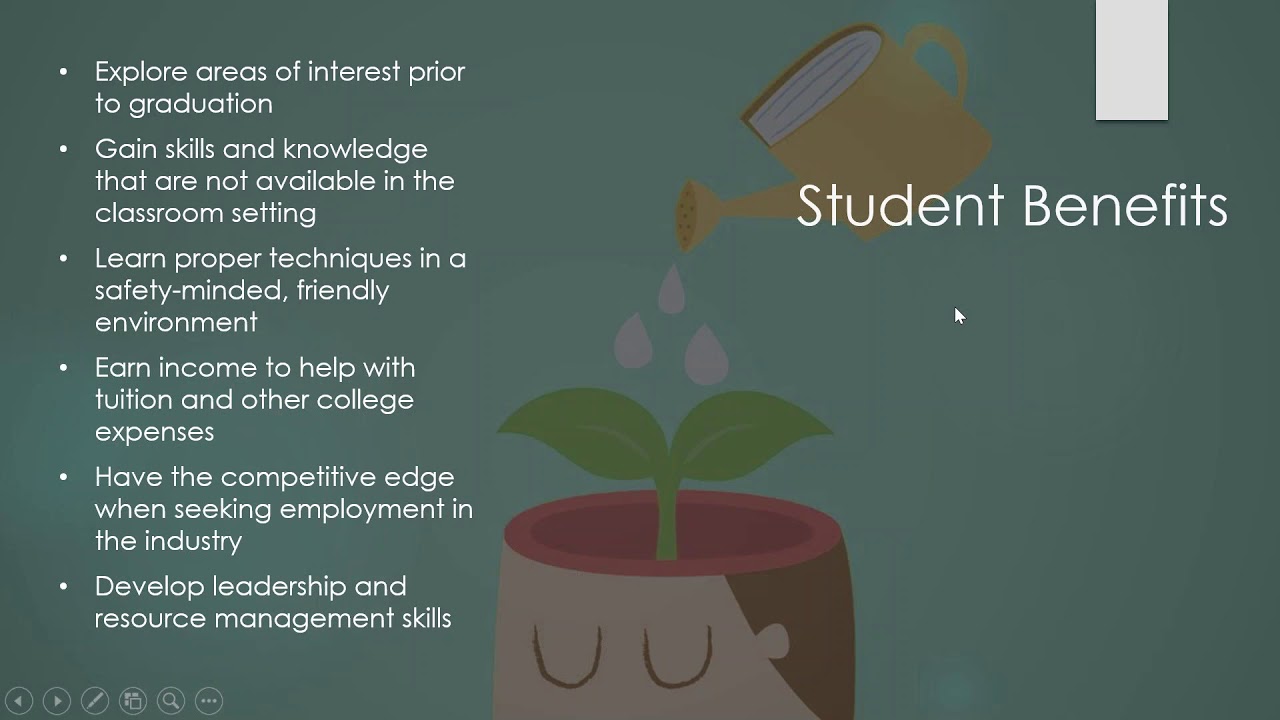 How to Set Up an Effective Internship Program