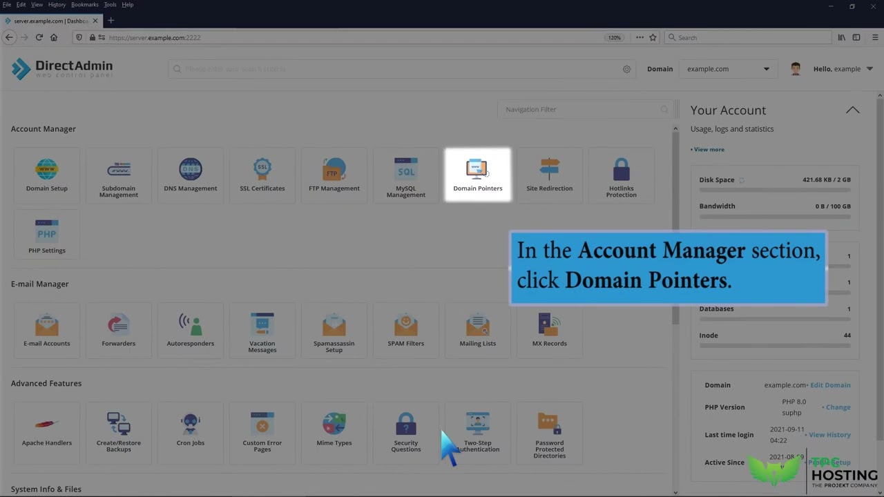 How to remove the alias domain in DirectAdmin   TPC Hosting
