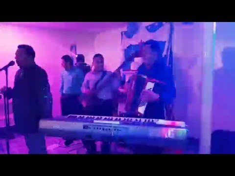 Alexander Dj 347 484 55 43